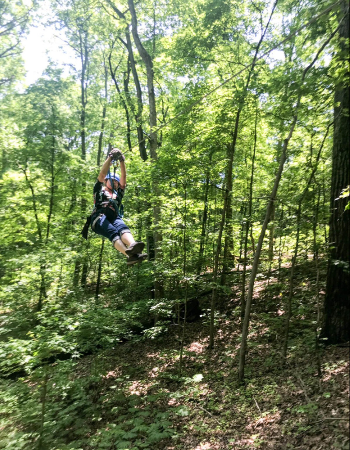 Ziplines – Adventure Valley